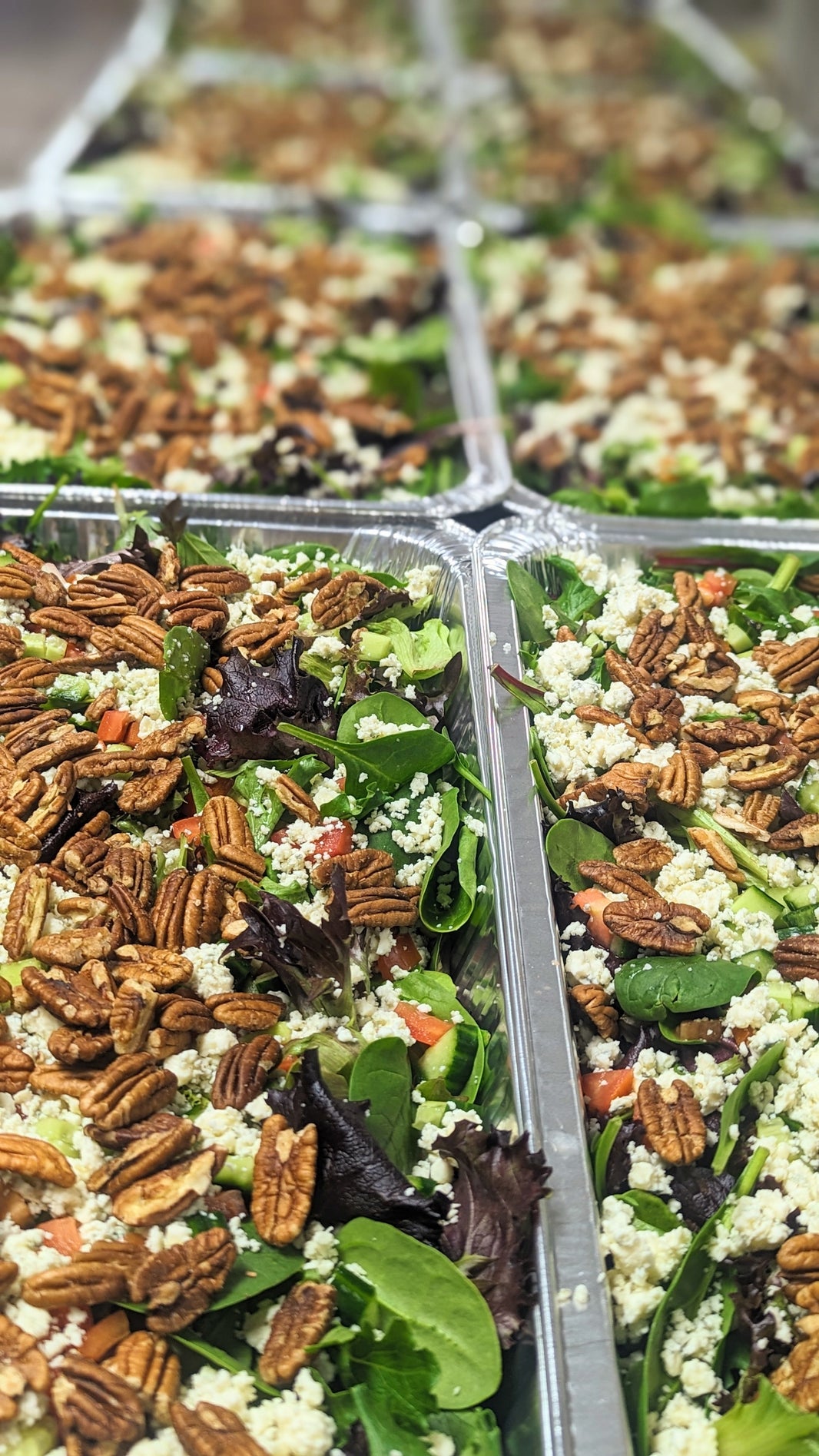 Sandwiches + Salads – Graze Box